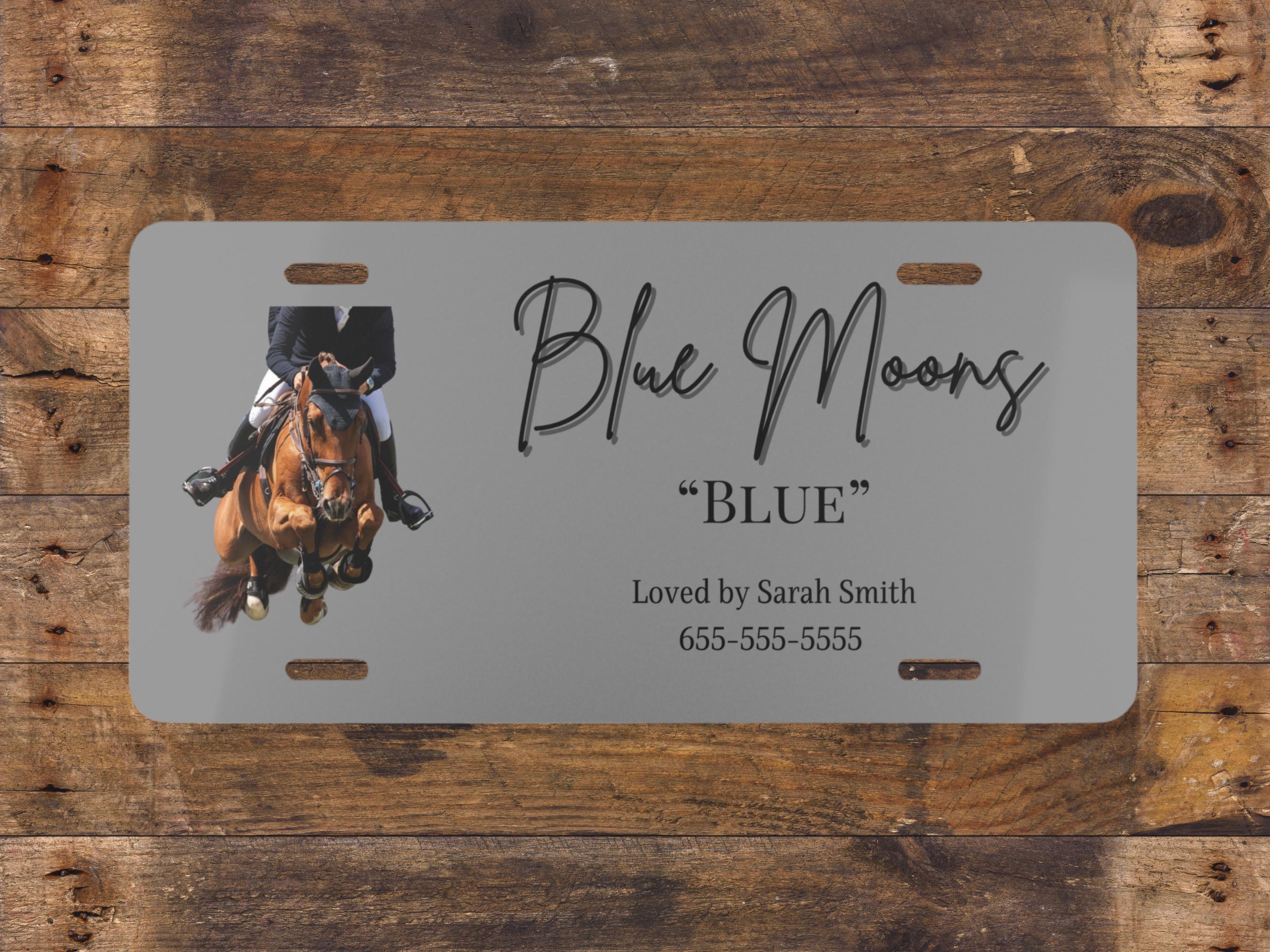 Custom Photo Horse Stall Sign: Personalized Aluminum Nameplate - Etsy
