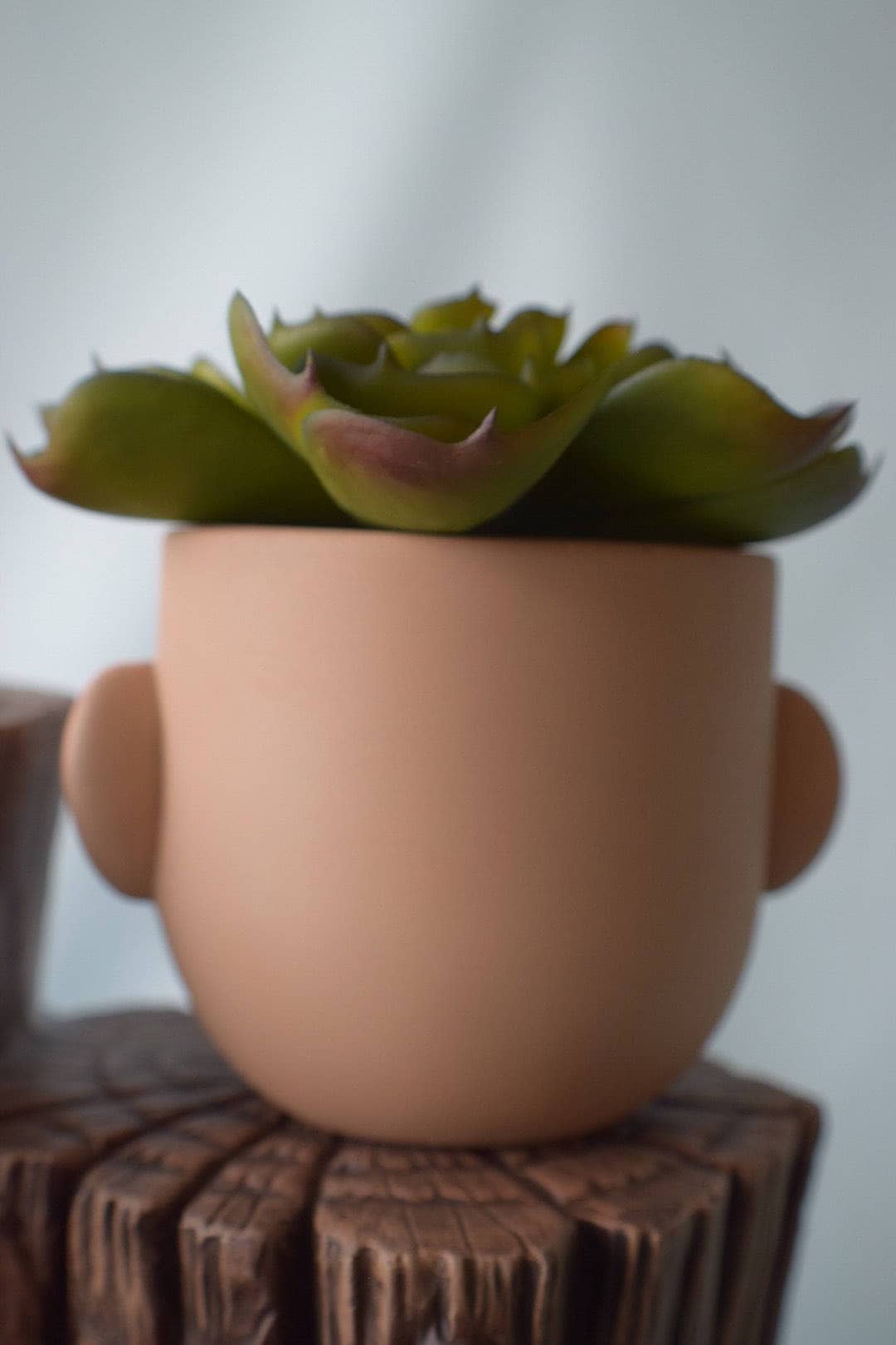 Flower Pot - House Warming Gift - Wedding Gift - Ceramic Planter ...