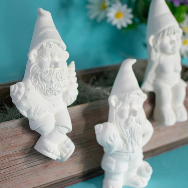 Seashell Gnome - Etsy