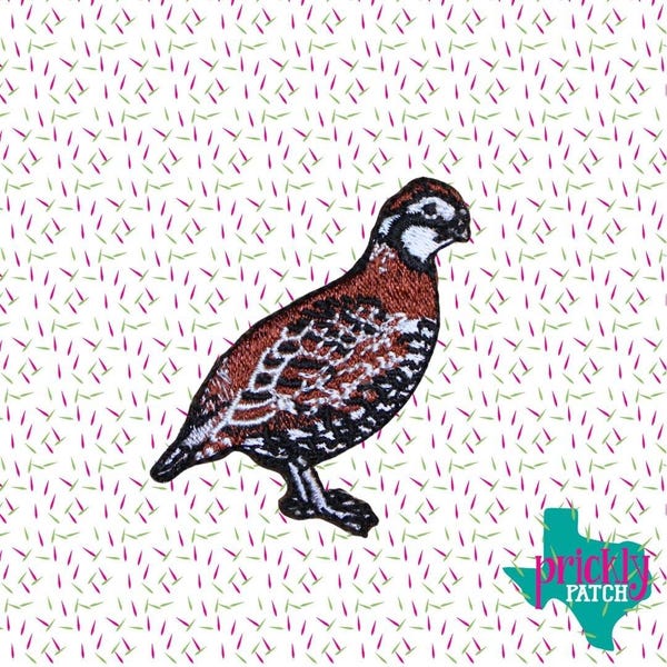 Bob White Quail - Etsy