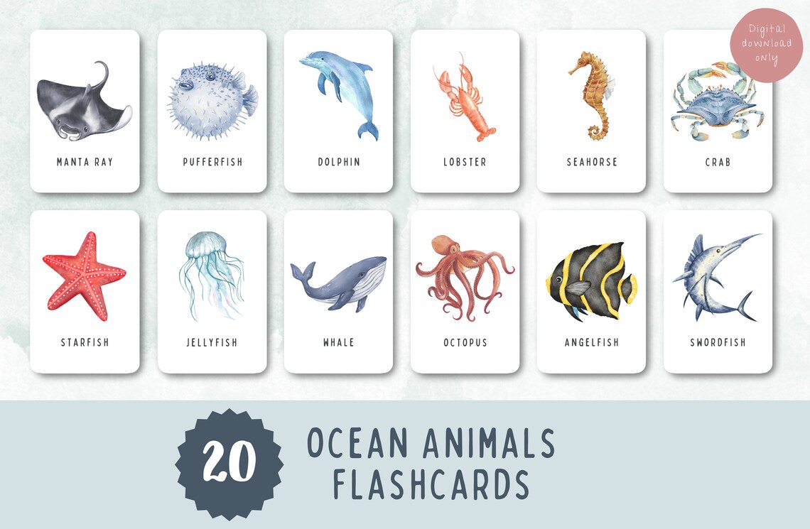 20 Preschool Ocean Animals Flashcards, Educational Flashcards ...