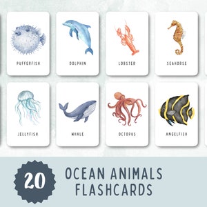 20 Preschool Ocean Animals Flashcards, Educational Flashcards ...
