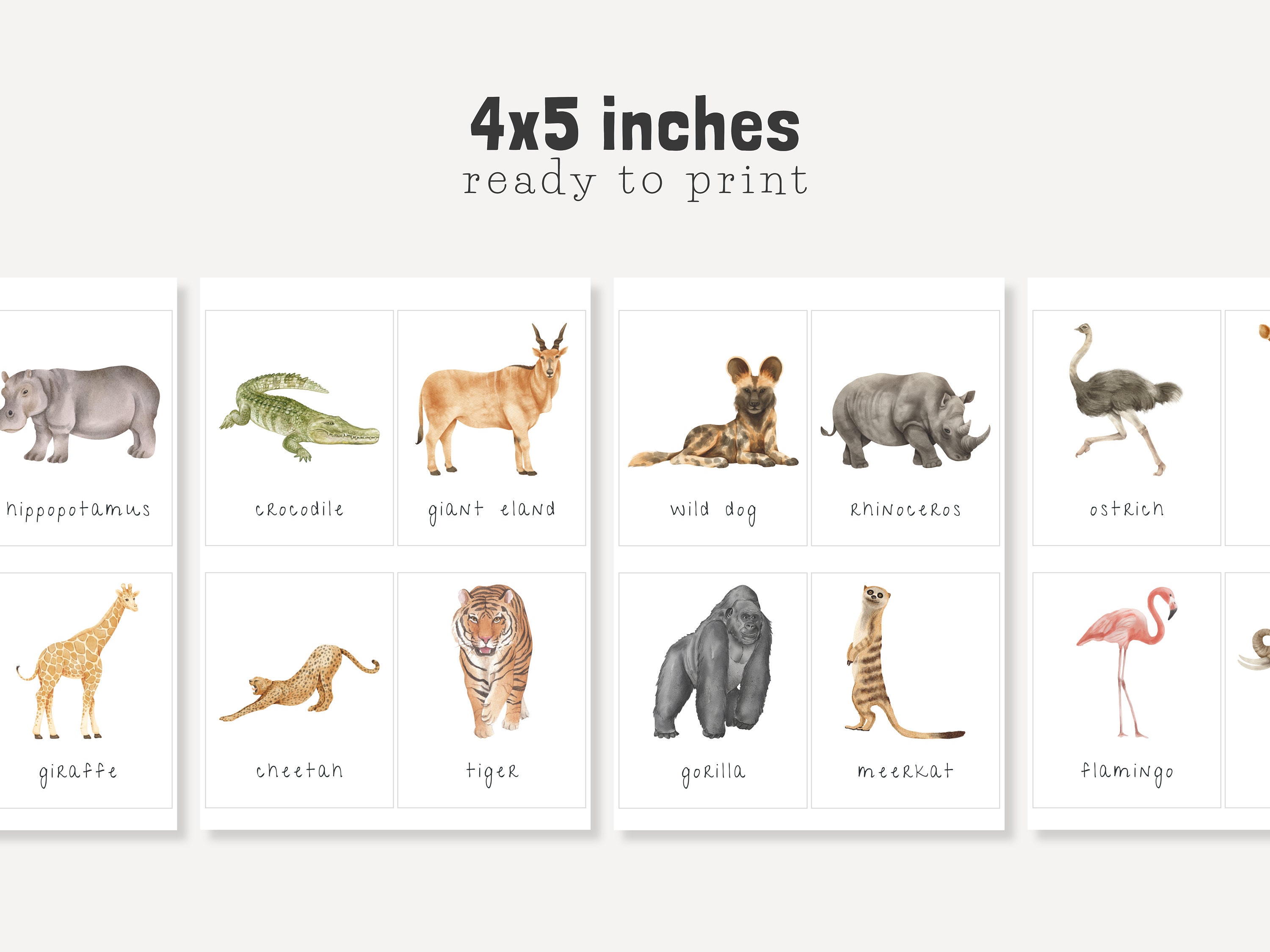 19 Preschool Safari Animals Flashcards Educational Wall Toddler Room ...