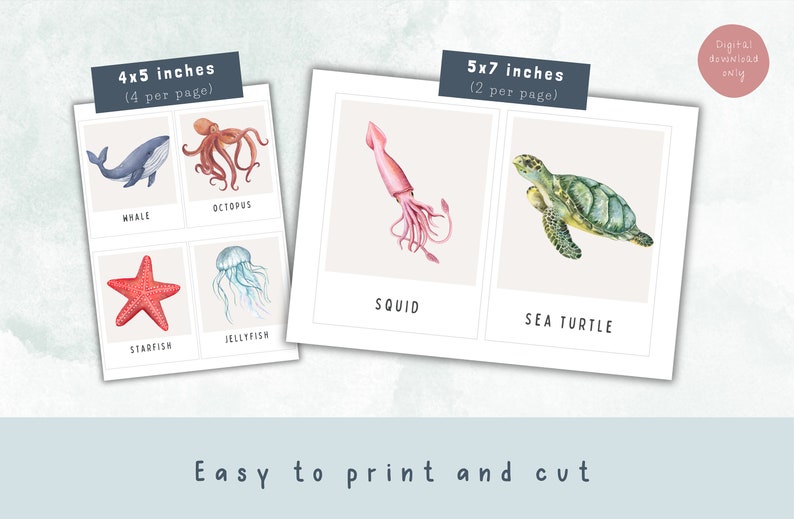 20 Preschool Ocean Animals Flashcards, Educational Flashcards ...