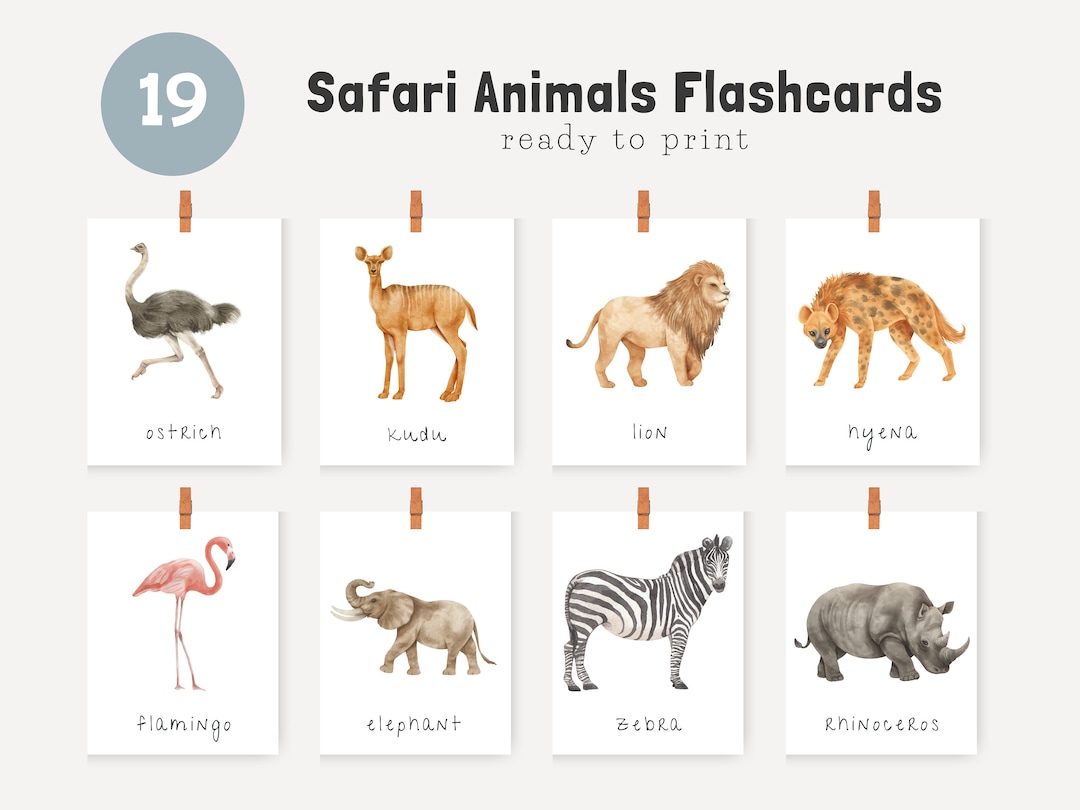 19 Preschool Safari Animals Flashcards Educational Wall Toddler Room ...