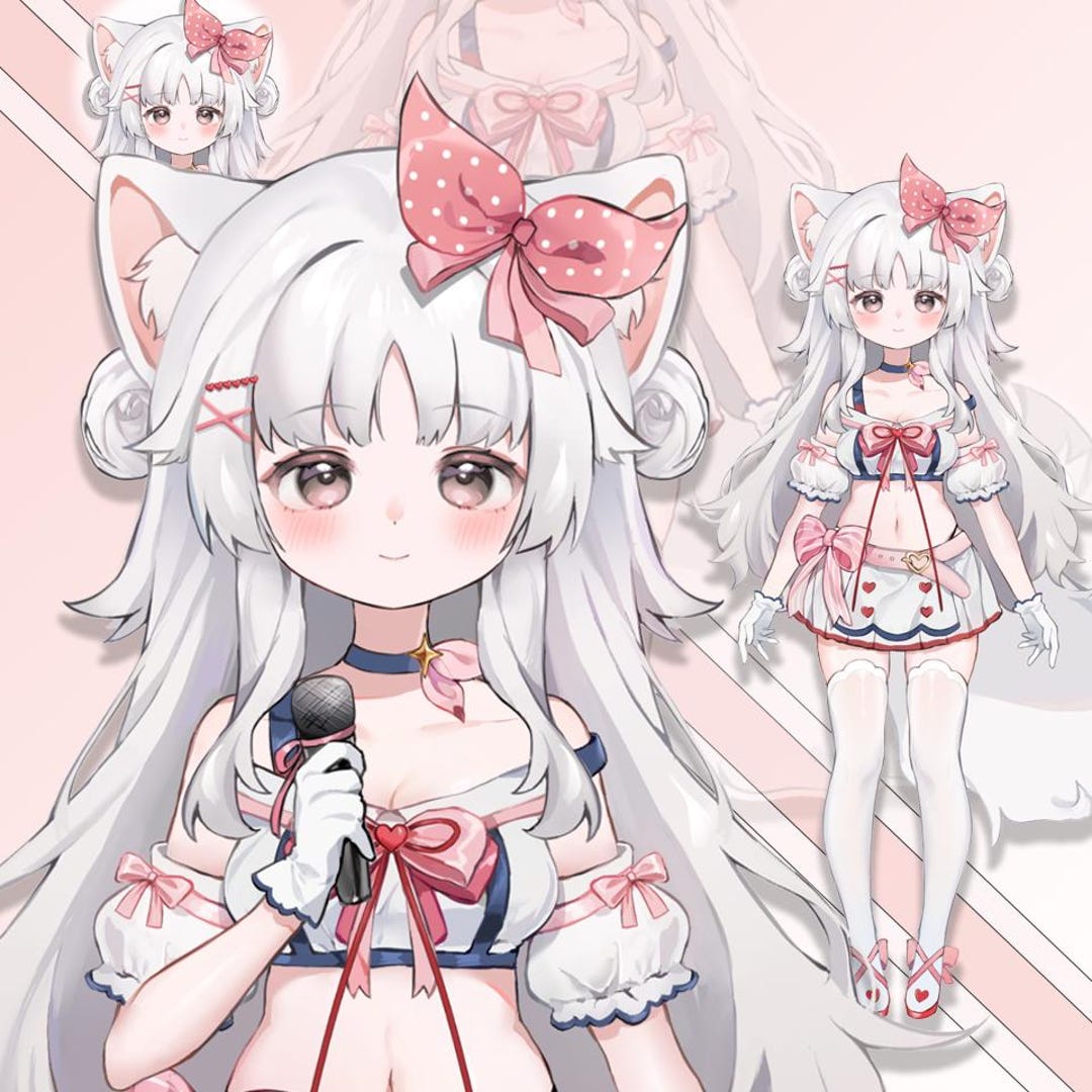 Customizable Live2d Premade Vtuber | Editable & Rigging | Customized - Etsy