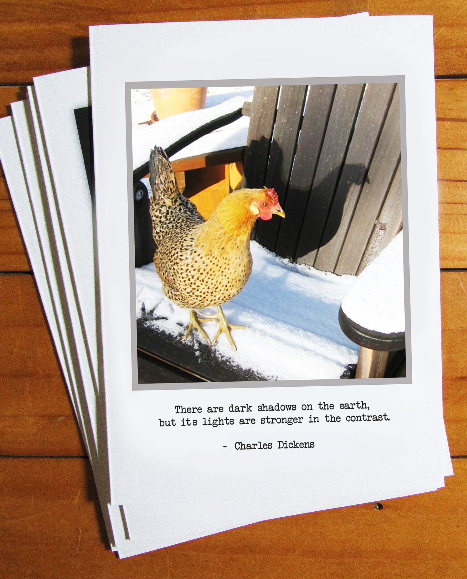 Literary Chicken Greeting Card: Charles Dickens Quote; Light & Shadow ...