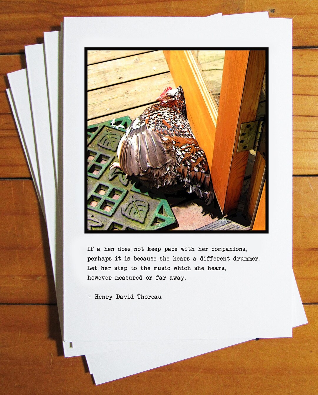 Literary Chicken: Henry David Thoreau, Greeting Card Set of 5 ...