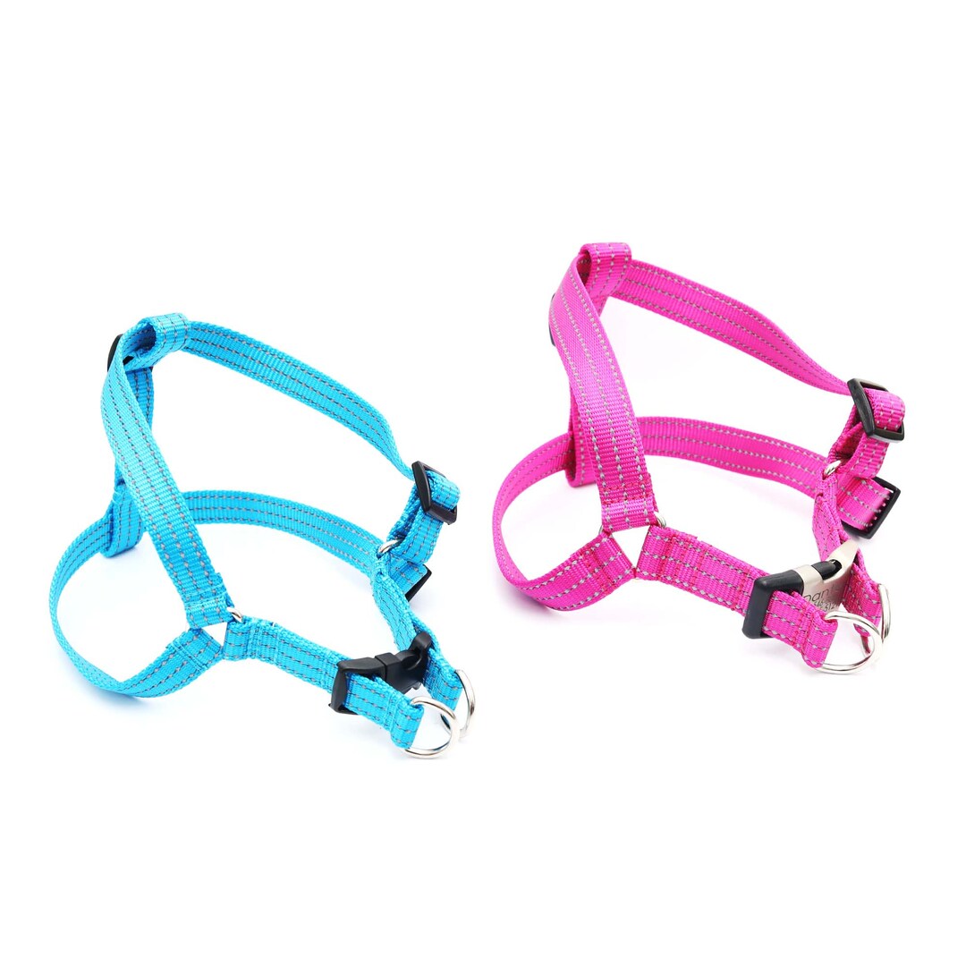 Reflective Nylon Dog Harness - Step in Style | Laser Engraved ...