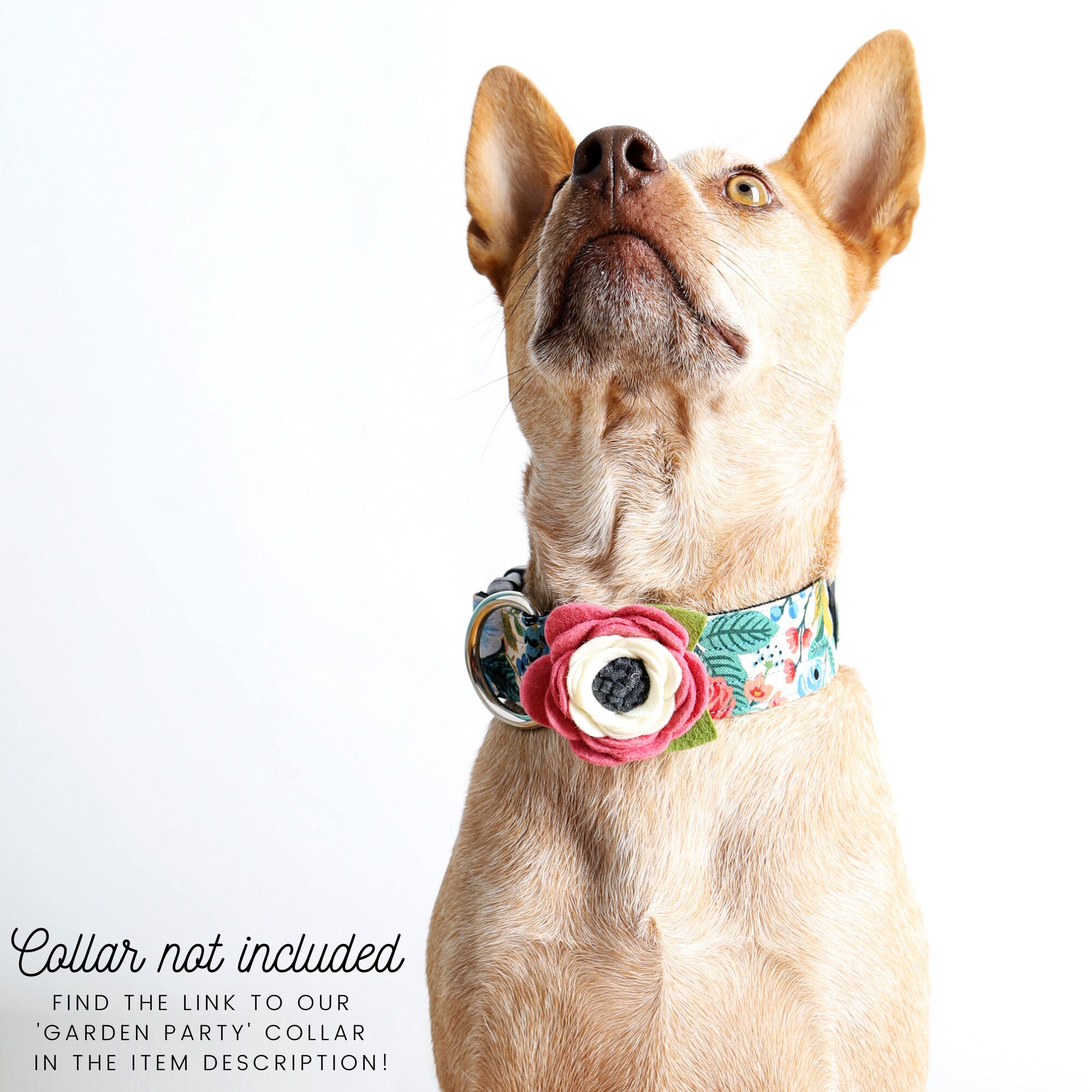 WILDFLOWER Dog Collar Flower Wool Felt Cute Dog Collar | Etsy
