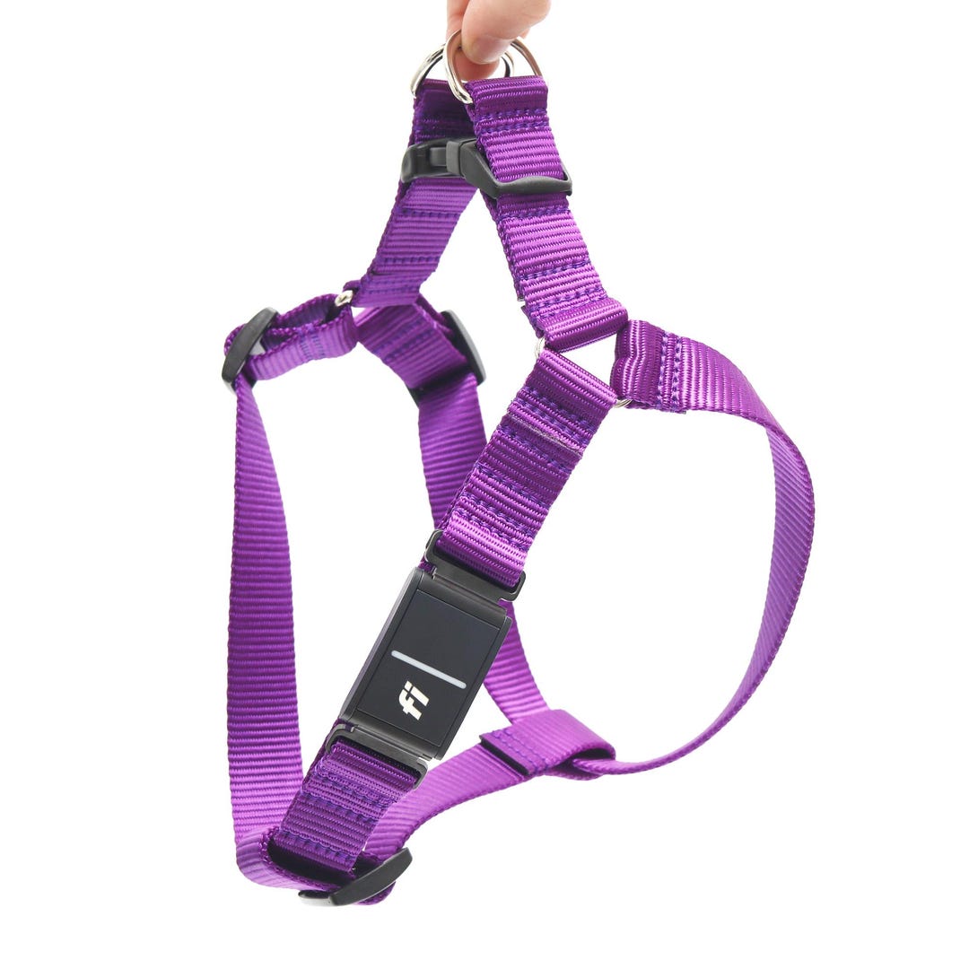 Fi Compatible Dog Harness - Step in Style | Laser Engraved Fi Harness ...
