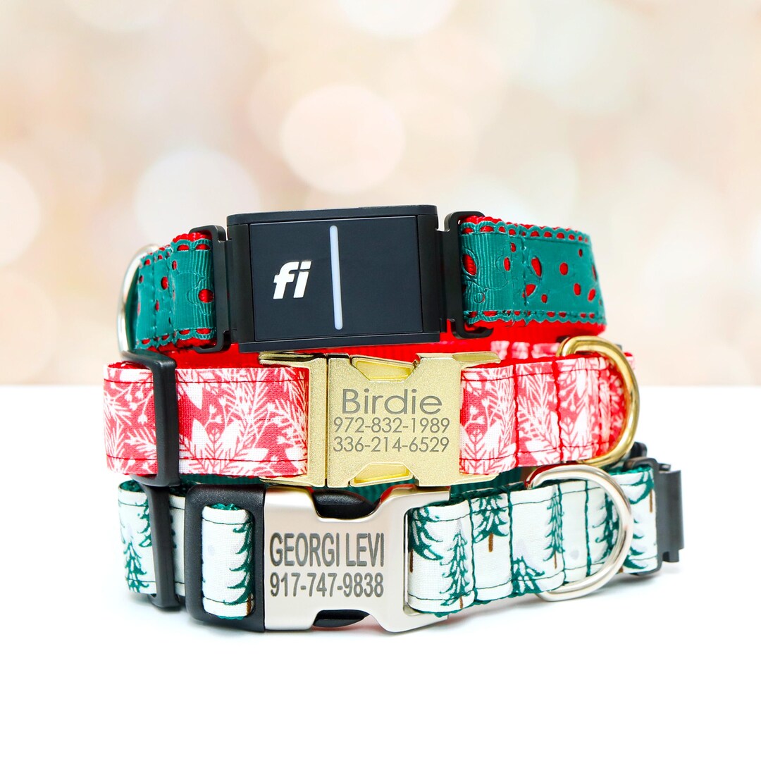 Holiday Fi Compatible Dog Collar | Christmas Fi Collars |10 Holiday GPS ...