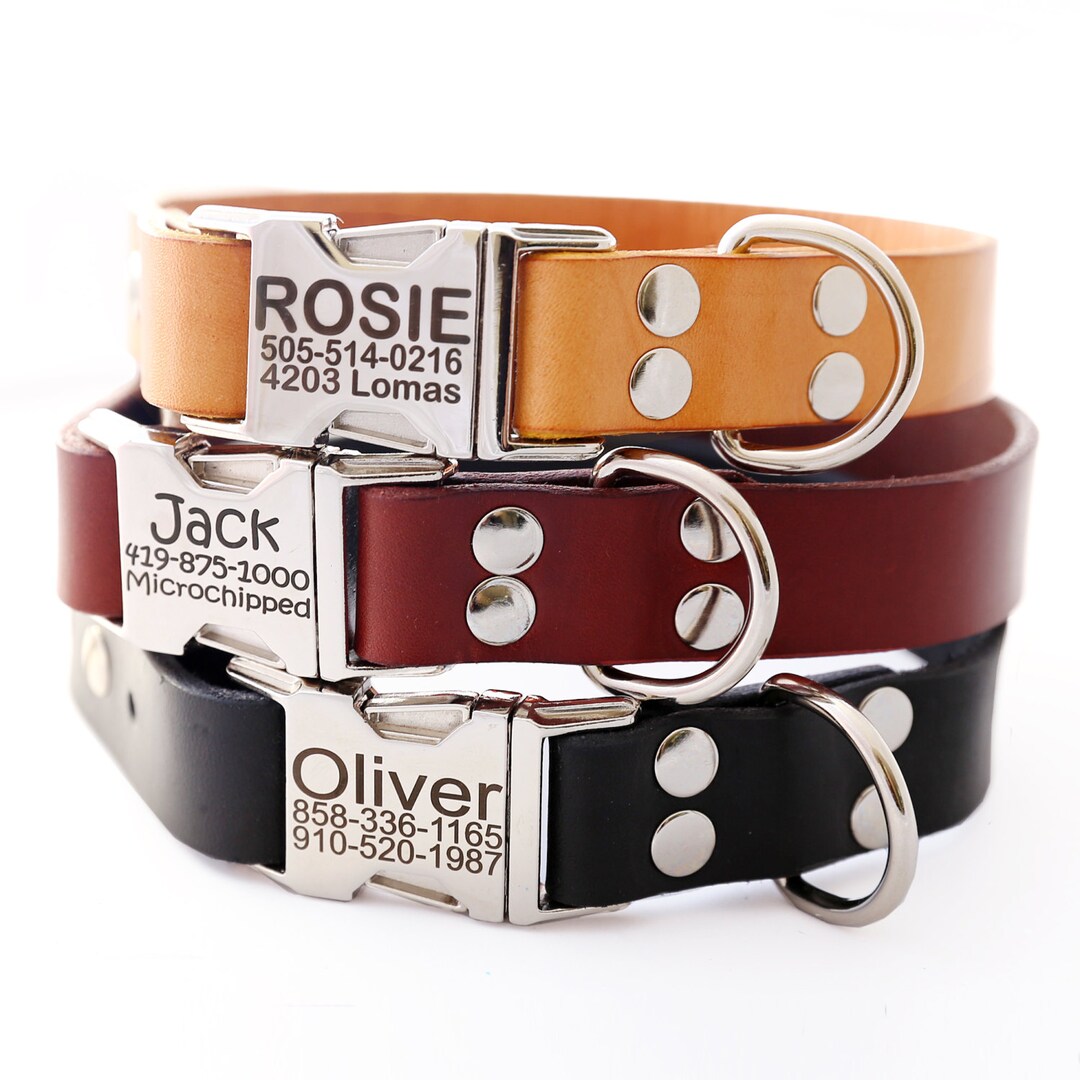 Leather Dog Collar With Personalized Engraved Silver Buckle -- 10 ...