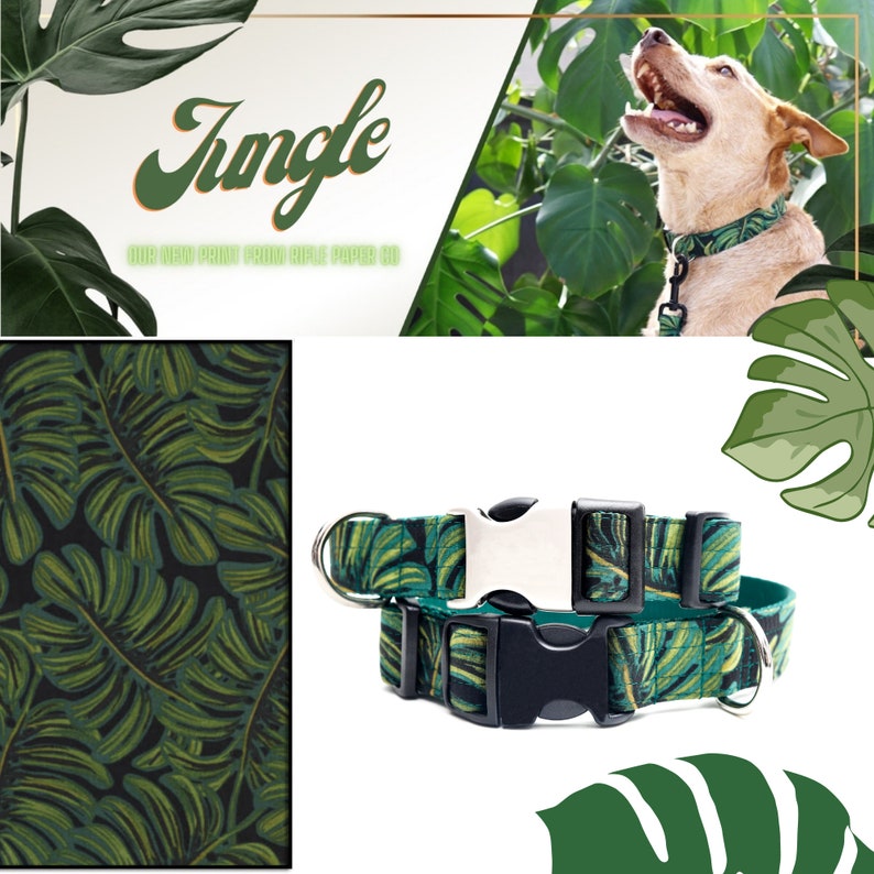 Rifle Paper Co Print Dog Collars 9 Cute Floral Trendy - Etsy
