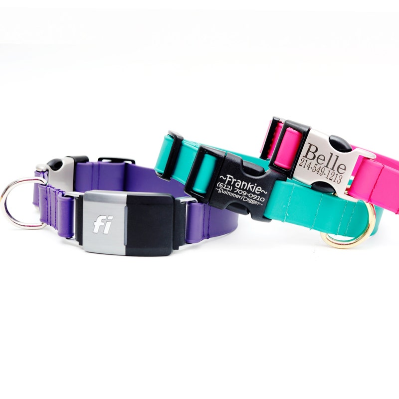 Biothane Collar Name Tag - Etsy