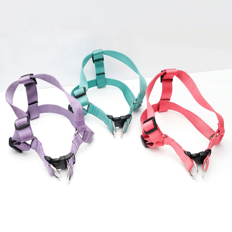 Fi Compatible Dog Harness: Step-in Nylon Halter With Custom Buckle ...