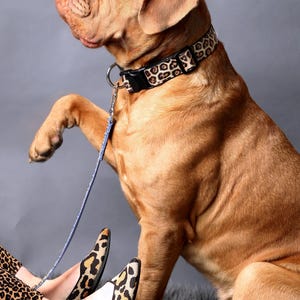 LEOPARD VELVET Dog Leash - 4', 5' or 6' -- 8 Colors to Choose From ...