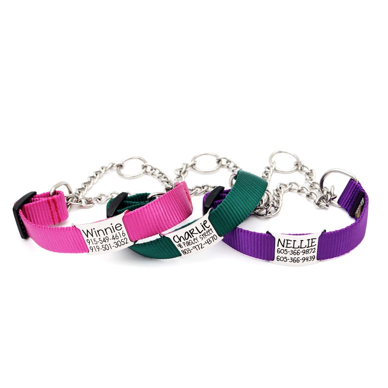 Dog Chain Collar - Etsy