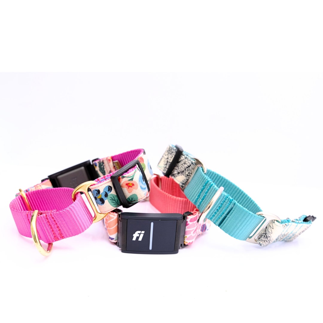 Fi Compatible Canvas Martingale Collar | Series 3/3+ | 18 Styles Canvas ...