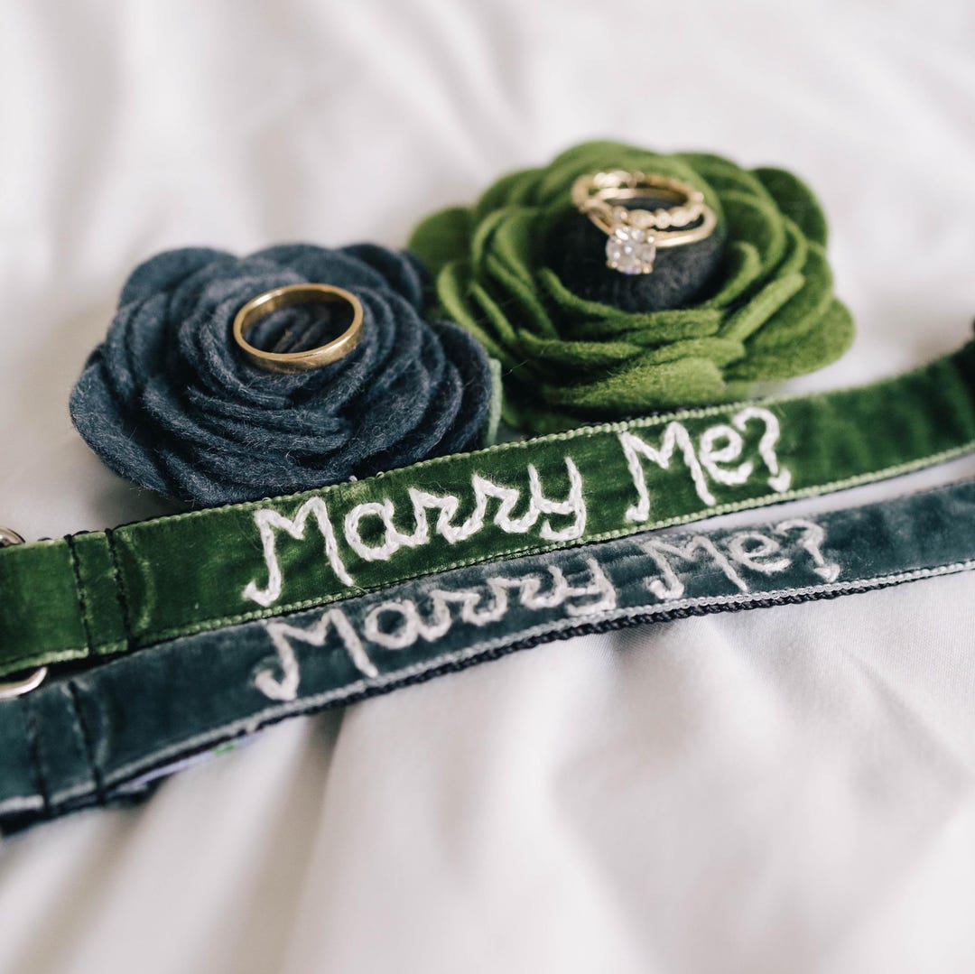 MARRY ME Proposal Dog Collar | 36+ Velvet Dog Collar Colors | Hand ...