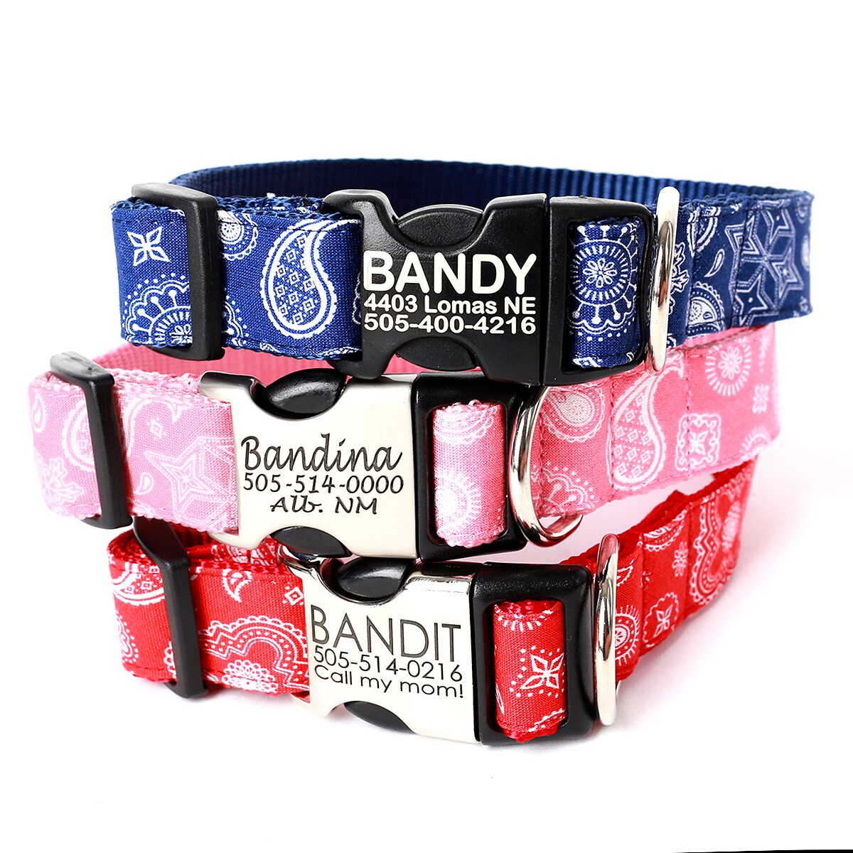 BANDIT Engraved Buckle Dog Collar Bandana Dog Collar - Etsy