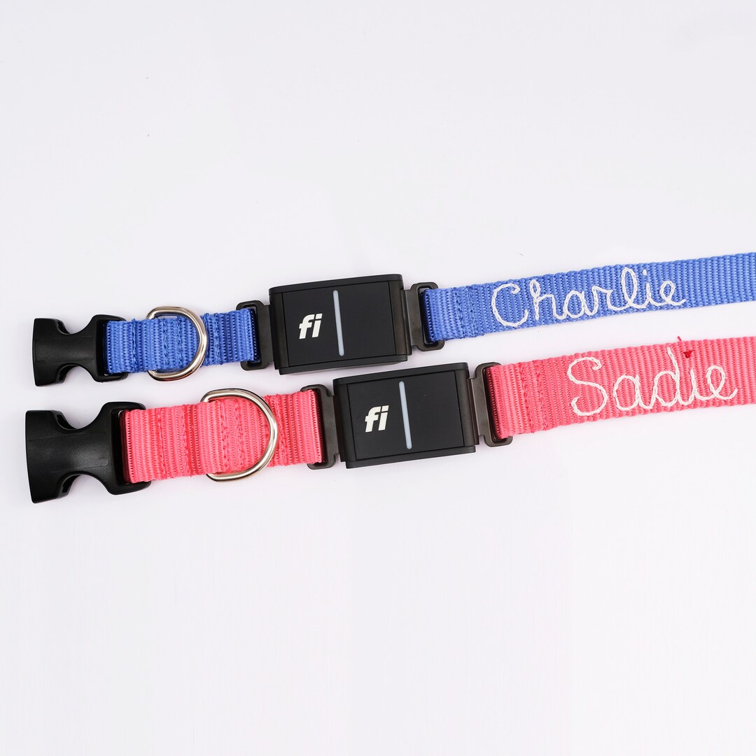 Fi Compatible Nylon Webbing Dog Collar Hand Embroidered Name Fi Collar ...