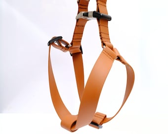 Puppy Boy Trans - Etsy