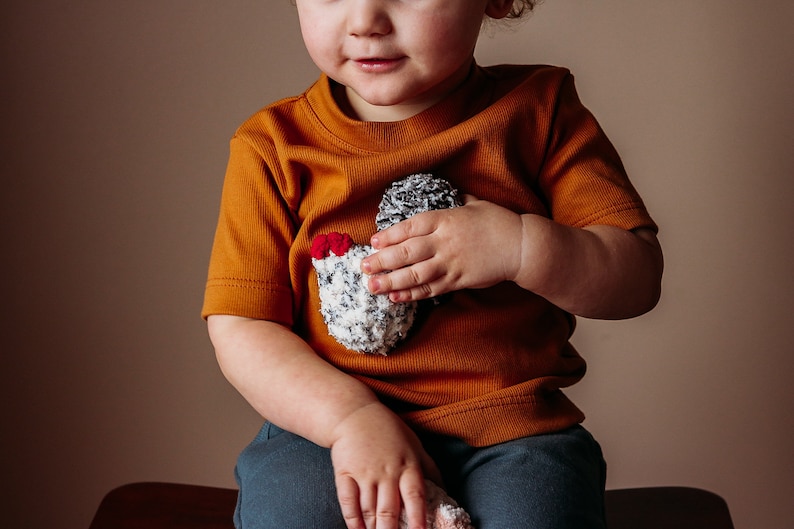 Mini Henny, Mini Peck, and Mini Gertie! 3pc Set or Individual Minis ...