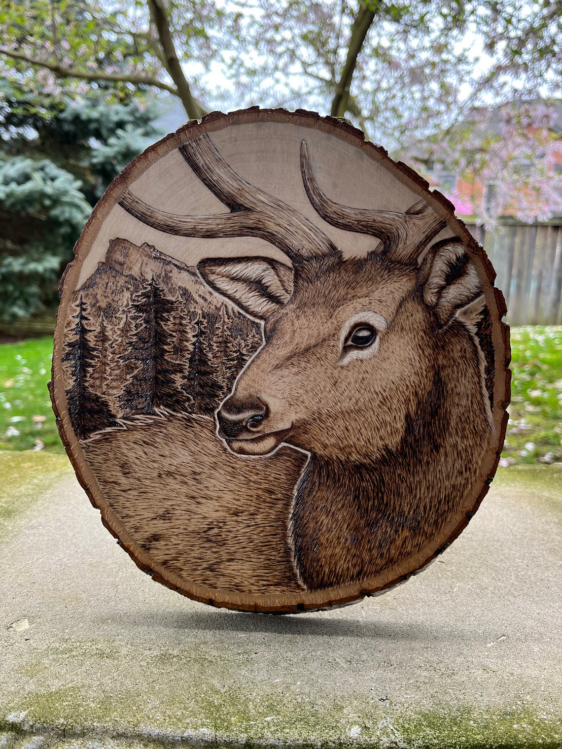 Rundle Mountain Elk: Pyrography Piece (basswood) - Etsy