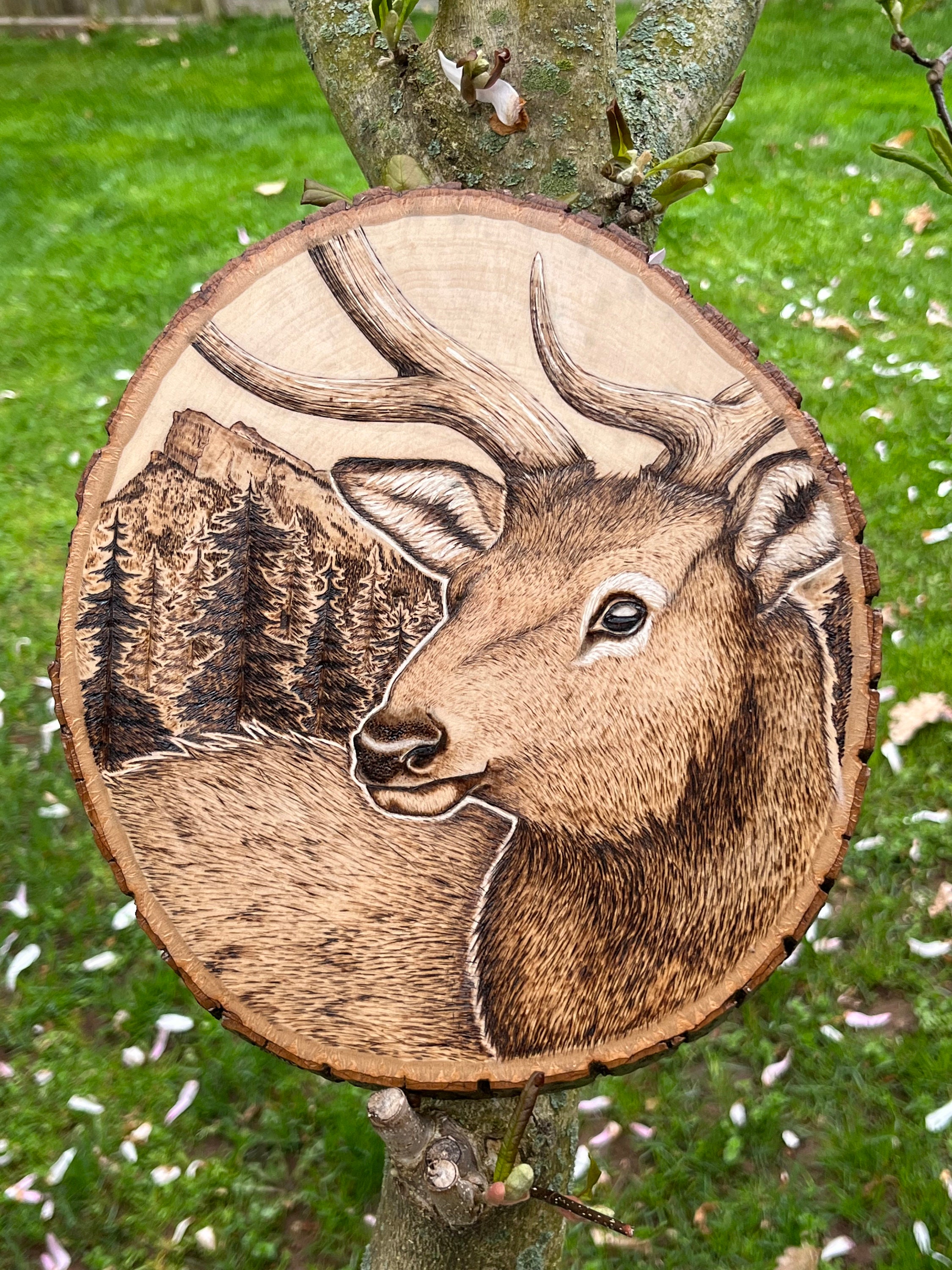 Rundle Mountain Elk: Pyrography Piece (basswood) - Etsy