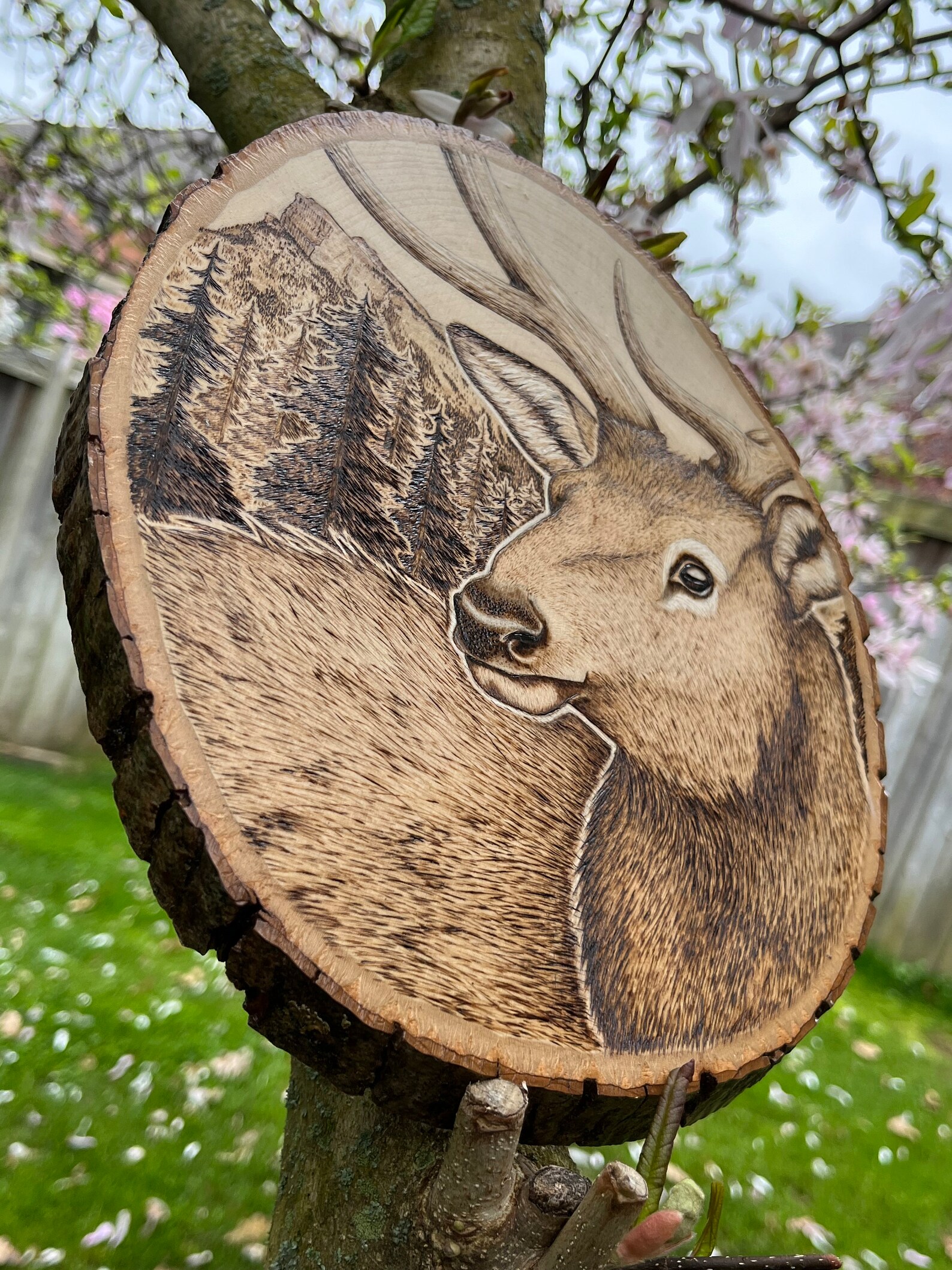 Rundle Mountain Elk: Pyrography Piece (basswood) - Etsy