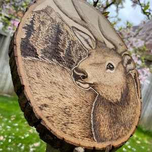 Rundle Mountain Elk: Pyrography Piece (basswood) - Etsy