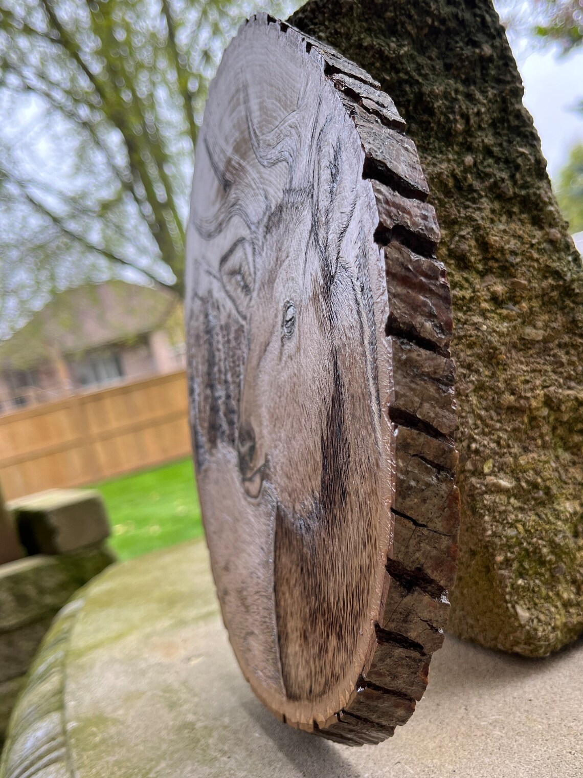 Rundle Mountain Elk: Pyrography Piece (basswood) - Etsy