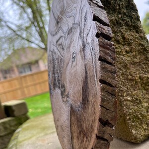 Rundle Mountain Elk: Pyrography Piece (basswood) - Etsy