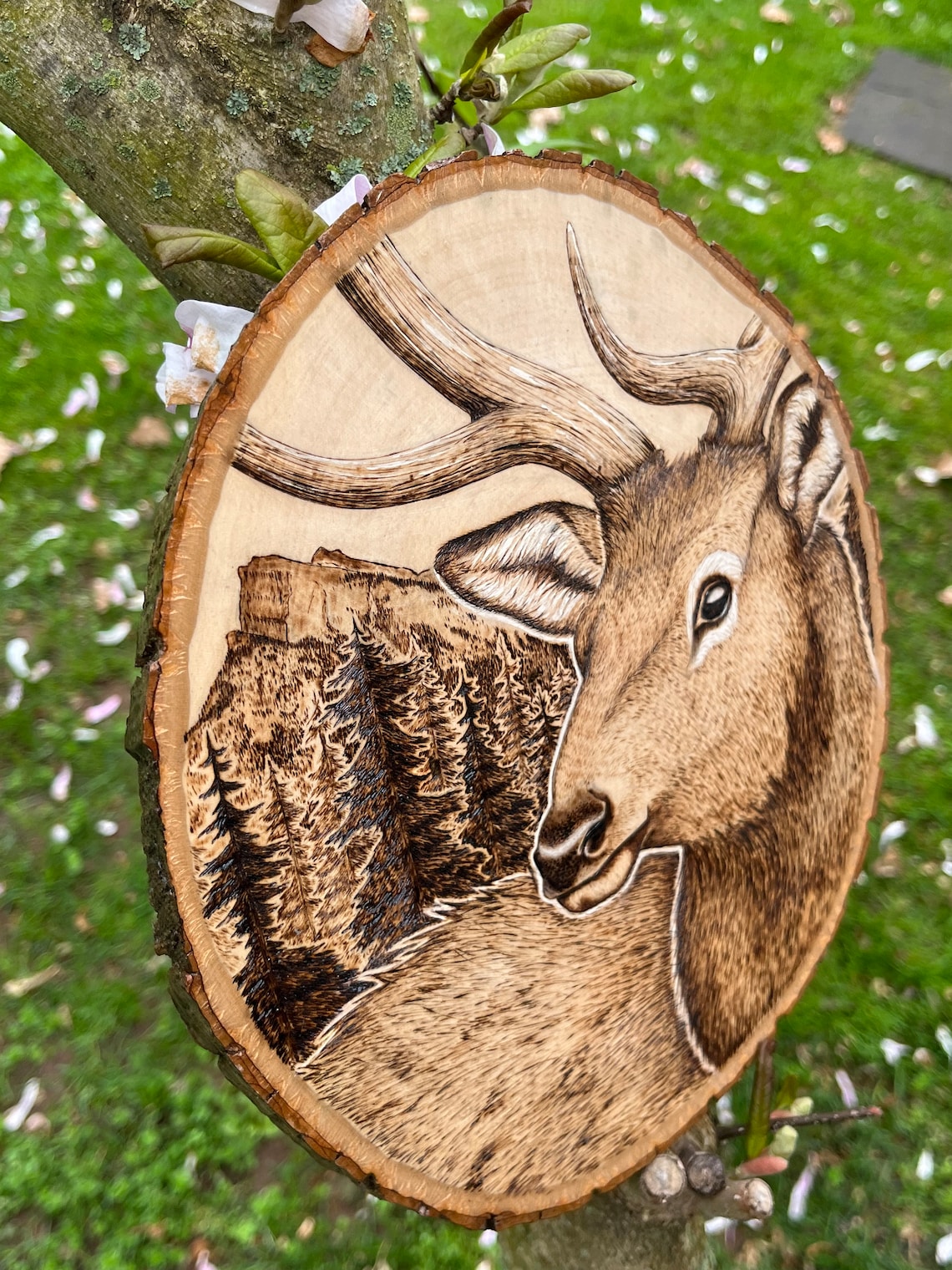 Rundle Mountain Elk: Pyrography Piece (basswood) - Etsy