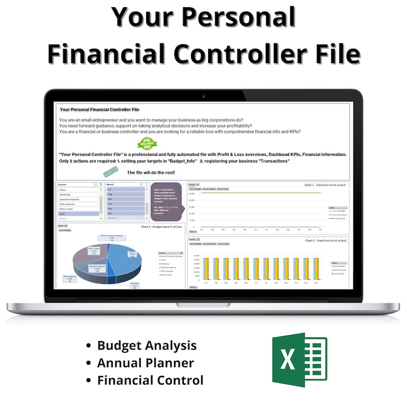 Your Personal Financial Controller File. Professional and Fully ...