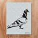 Pigeon Stencil- Reusable Craft & DIY Stencils- S1_01_150 - Etsy