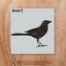 Bird Silhouette 2 Stencil - Reusable Craft & DIY Stencils - S1_01_BS01 ...
