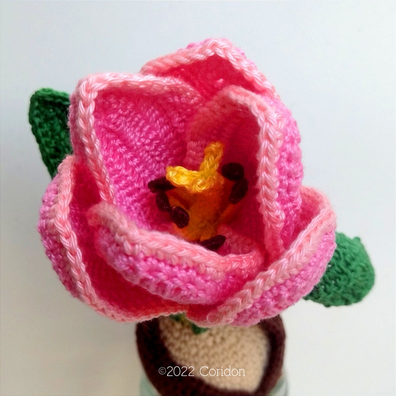 CROCHET PATTERN Tulip Bulb Amigurumi - Etsy