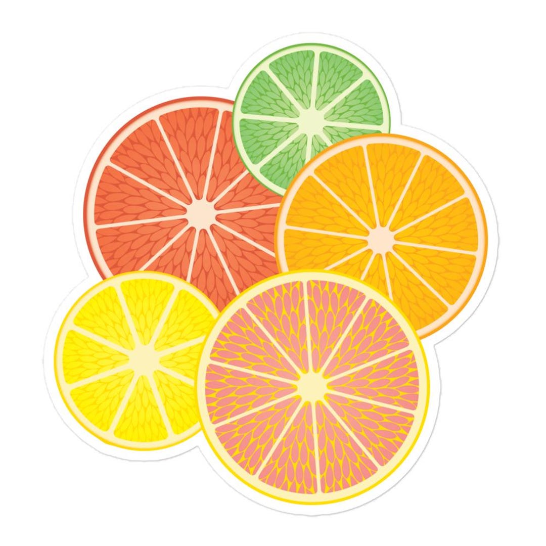 Citrus Fruit Sticker, Grapefruit Lemon Orange Lime Decal, Cute Colorful ...