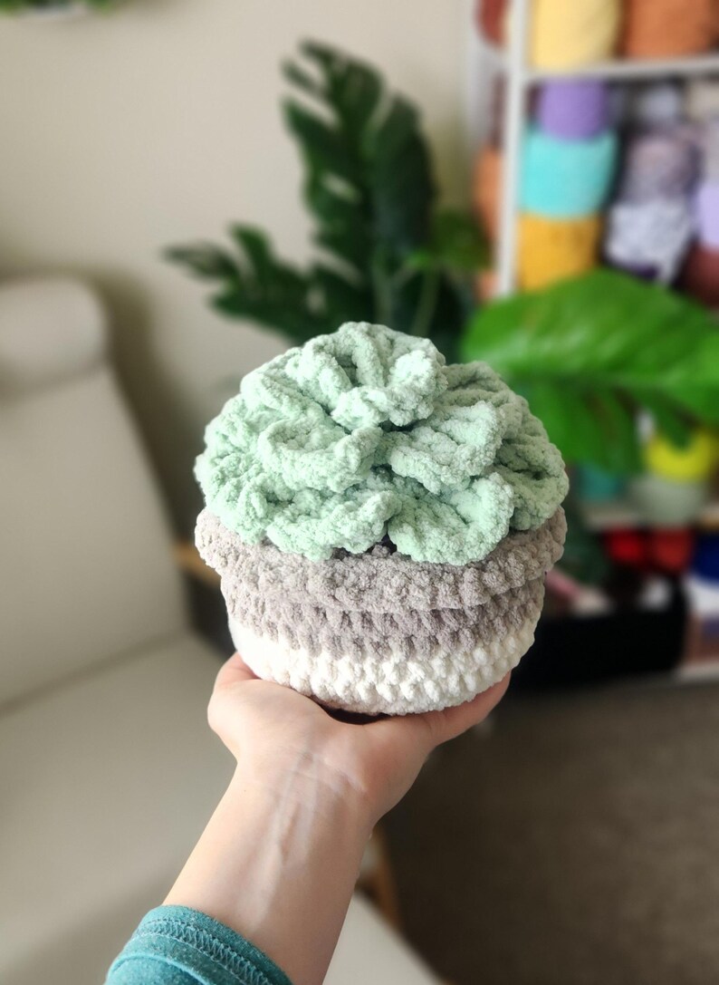 PATTERN Jumbo Succulent Plant L Succulent Crochet Pattern L Cute ...