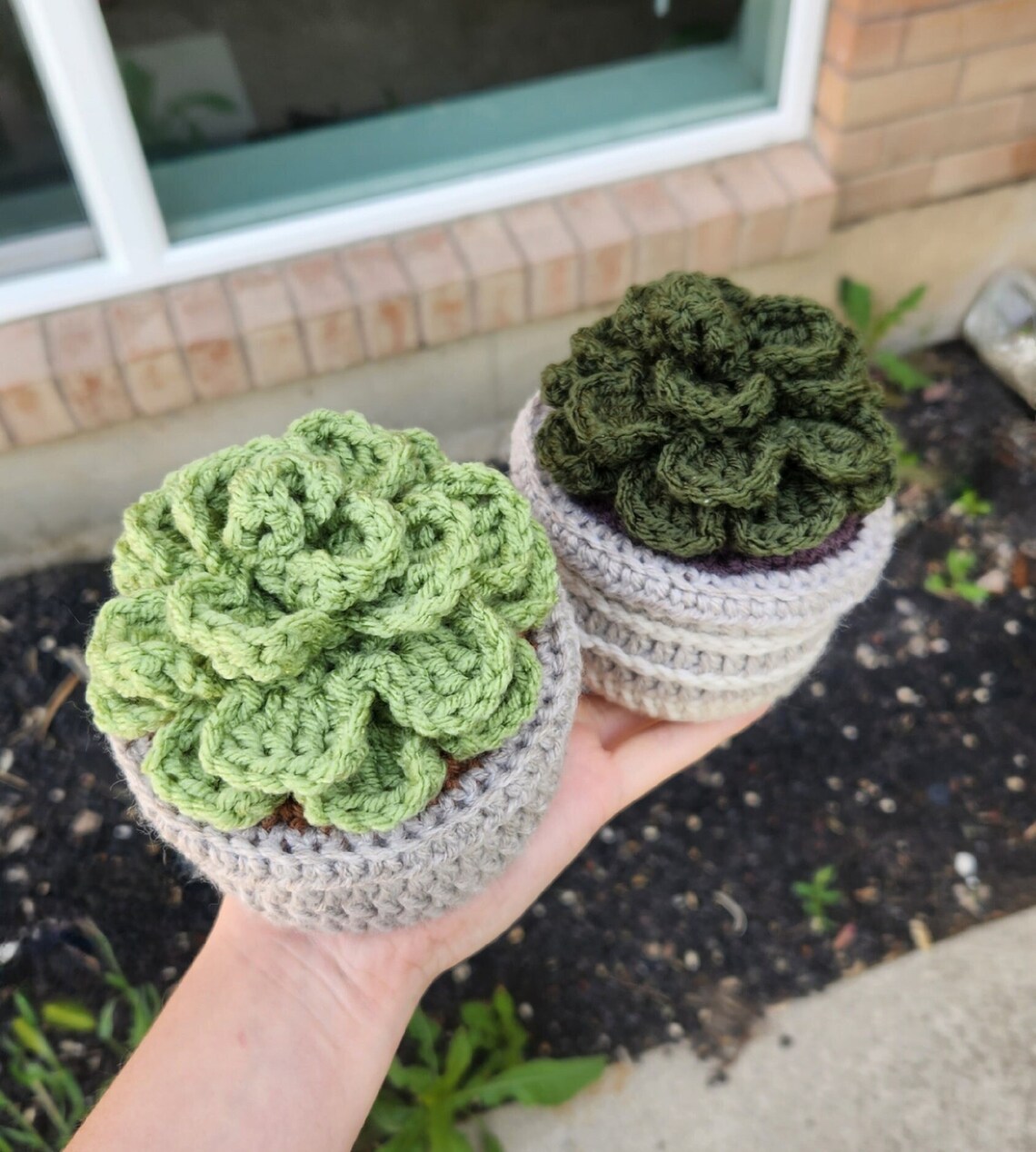 PATTERN: Crochet Succulent Pattern L Succulent Pattern L Succulent L ...