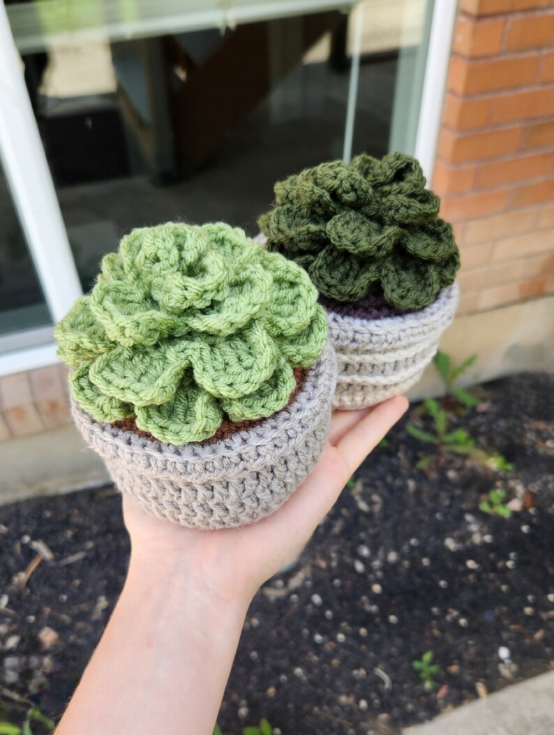 PATTERN: Crochet Succulent Pattern L Succulent Pattern L Succulent L ...