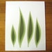 Retro Grass - Original Papercut (8 X 10) - Etsy