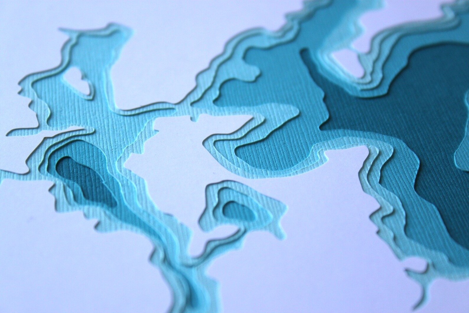 Leech Lake - Original 8 X 10 Papercut Art - Etsy