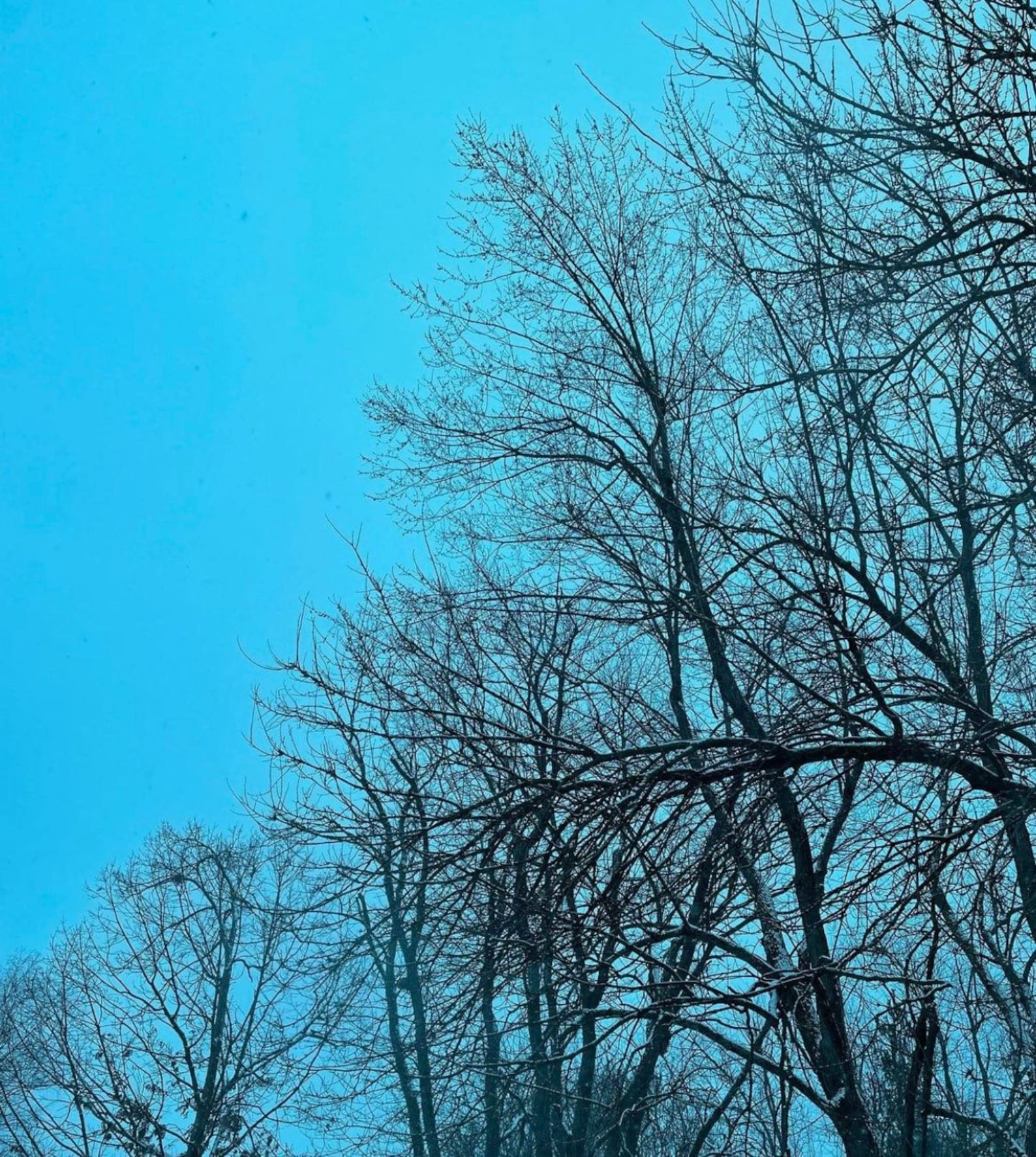 The Original Twilight Blue Filter Keychain - Etsy