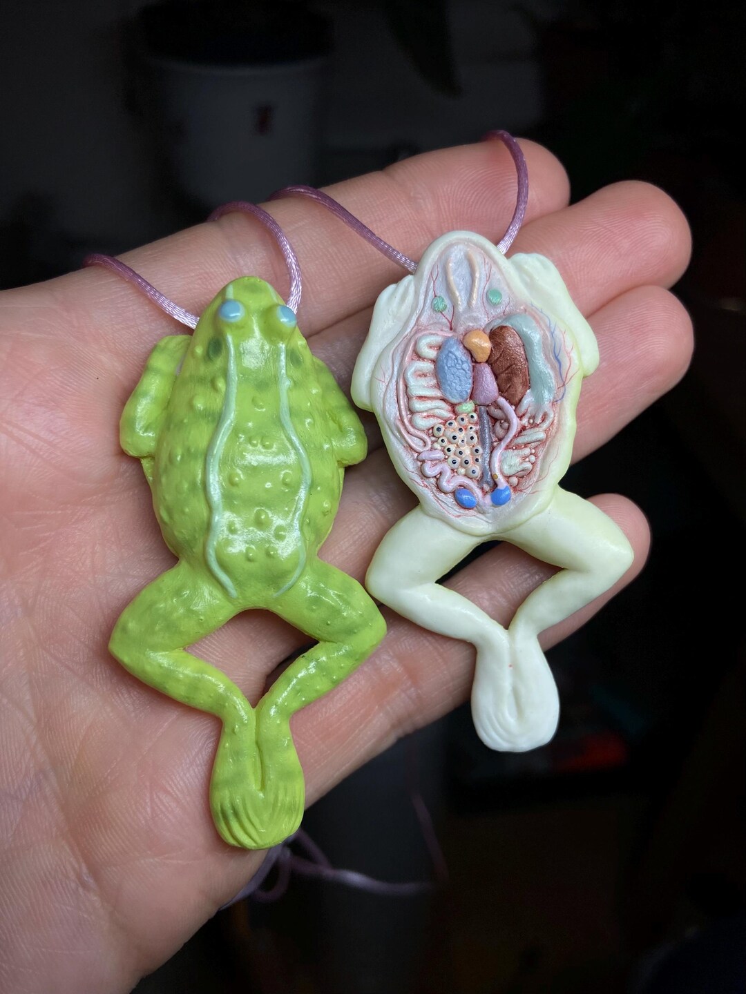 Dissected Frog Pendant Amphibian Necklace Scientific Educational Model ...