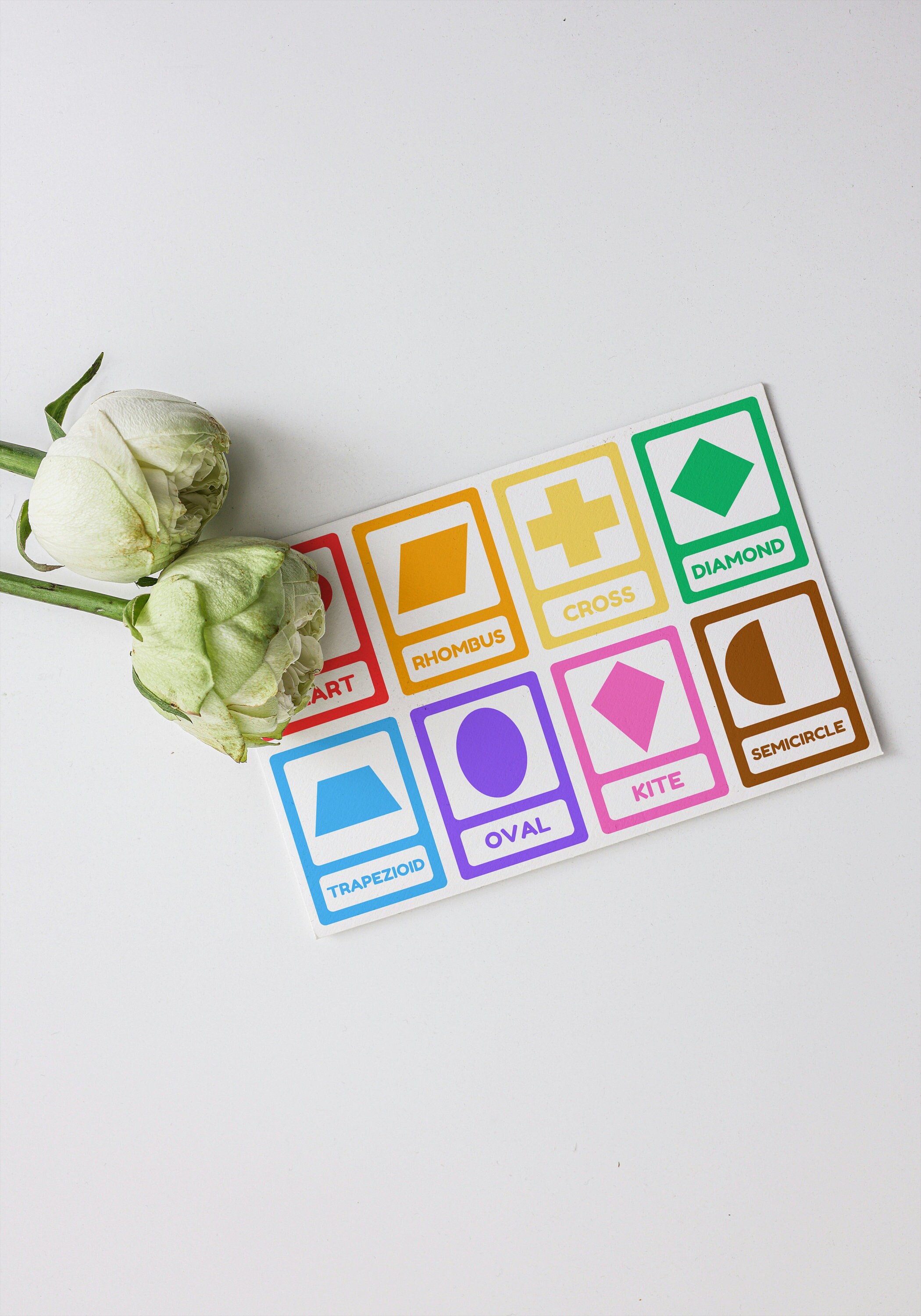 20 Rainbow Shapes Flash Card Geometric Flash Cards Montessori Materials ...