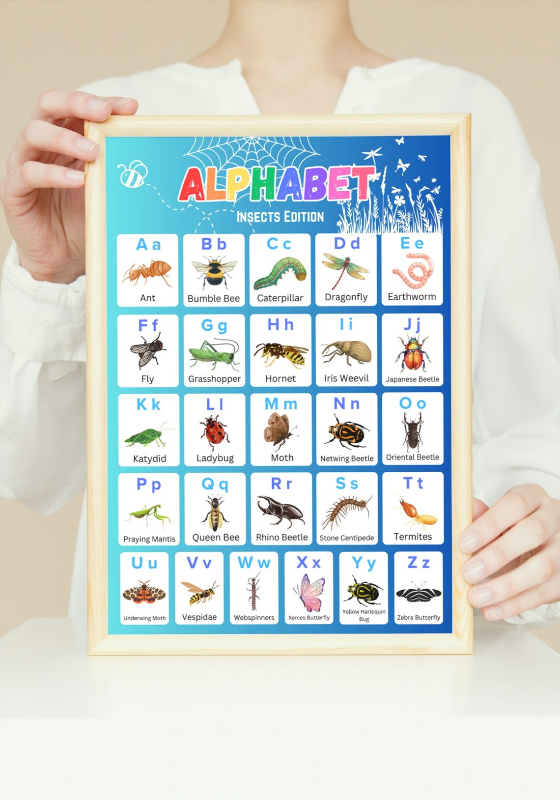Insects Alphabet Poster Educational Wall Art Classroom Decor Bedroom ...