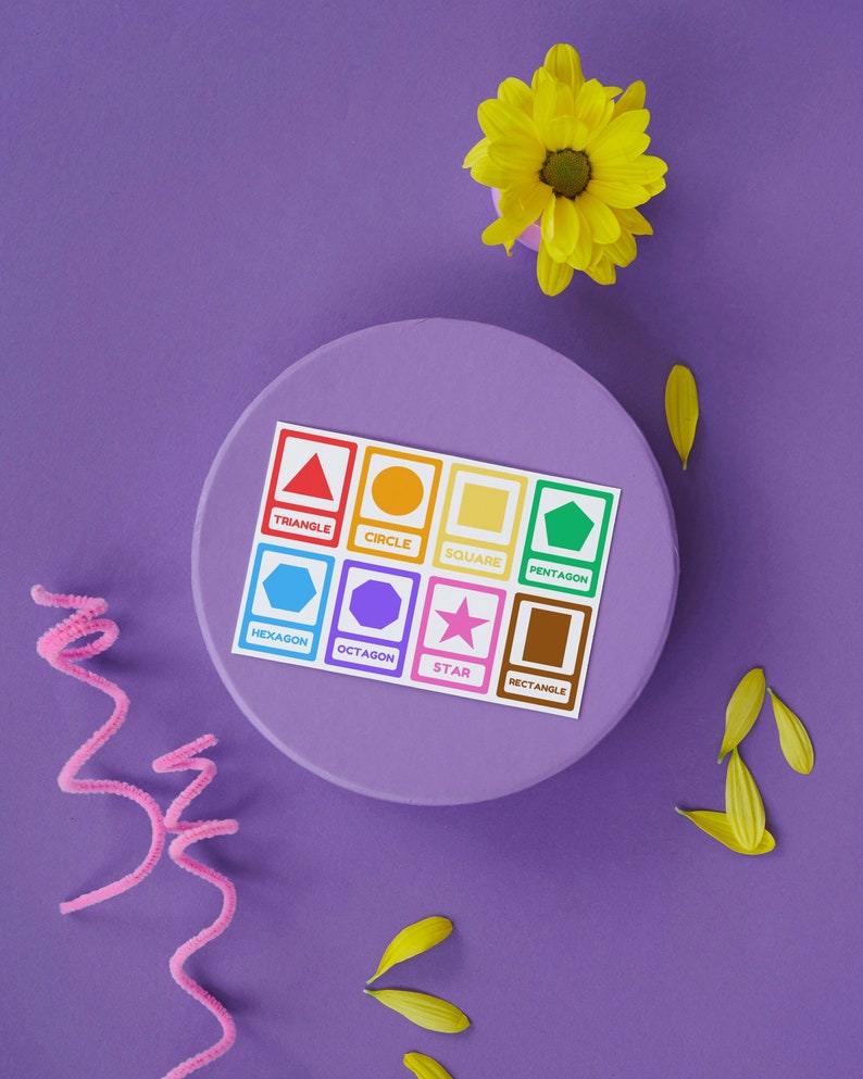 20 Rainbow Shapes Flash Card Geometric Flash Cards Montessori Materials ...
